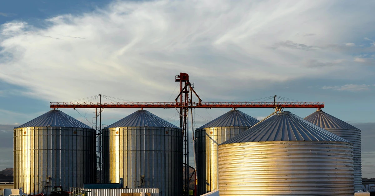 Silo Spider | Grinn Global