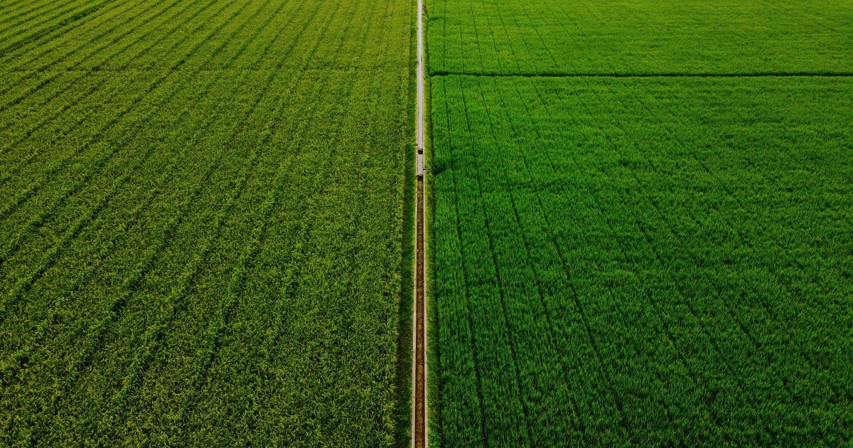 Smart Agriculture: 8 Implementations of IoT in agriculture you can ...