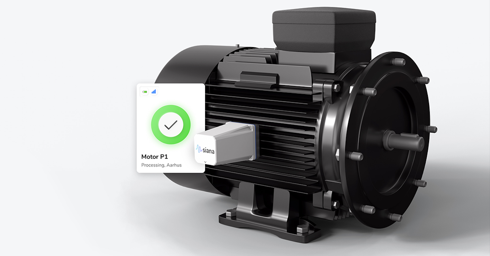 Siana | Grinn Global